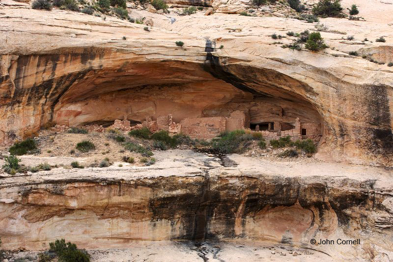 Cornell Nature Photography